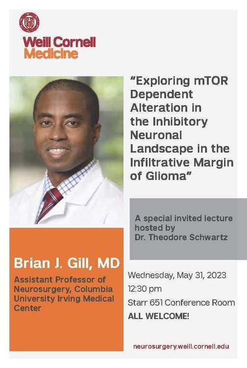 “Exploring mTOR Dependent Alteration in the Inhibitory Neuronal ...